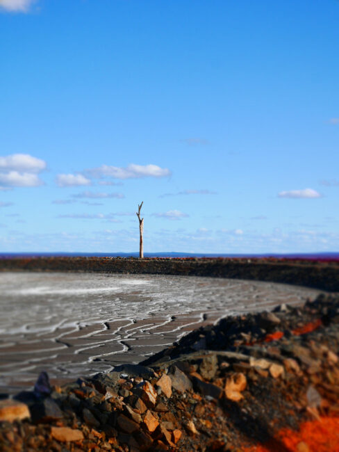 Fierce Women in Perth – Sheila Foundation